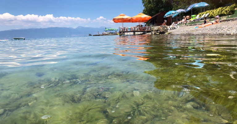 ЗЕЛЕНИ АЛГИ СЕ НАМНОЖИЈА ВО ОХРИДСКОТО ЕЗЕРО ПОРАДИ ВИСОКИТЕ ...