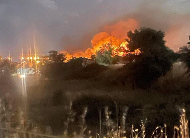 ПОЖАР ИЗБИ КАЈ СМИЛКОВСКО ЕЗЕРО ВО СКОПЈЕ, ГРАДОНАЧАЛНИКОТ СТЕФКОВСКИ ...